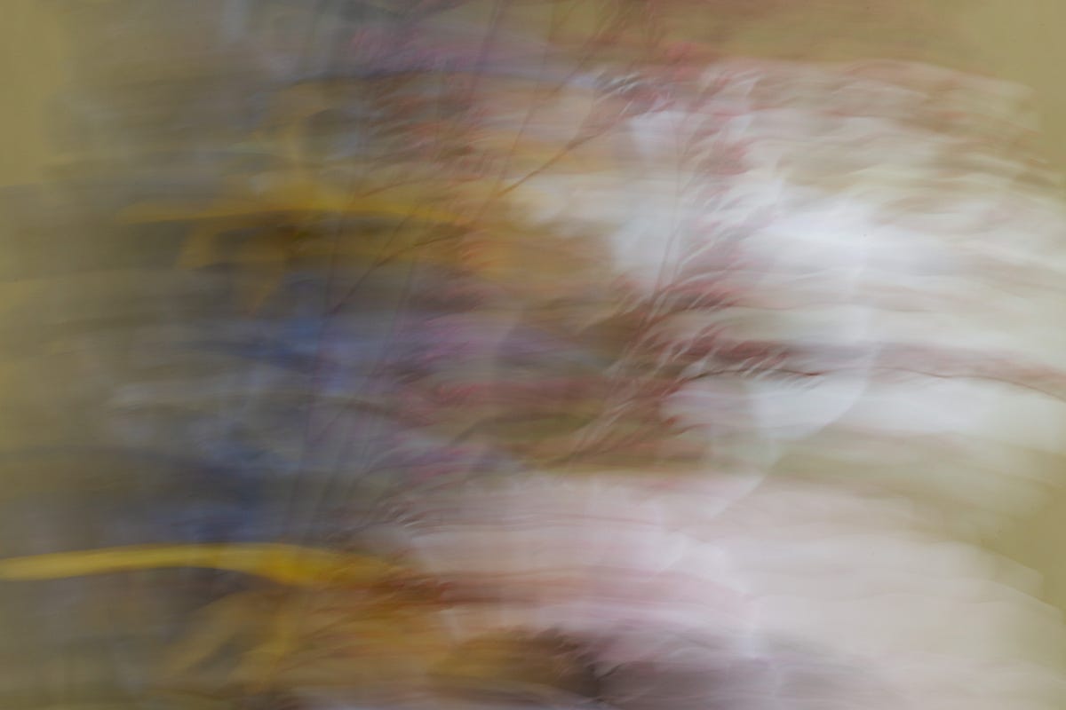 On Expectations. Real thoughts from someone who thought… | by Cipz ...