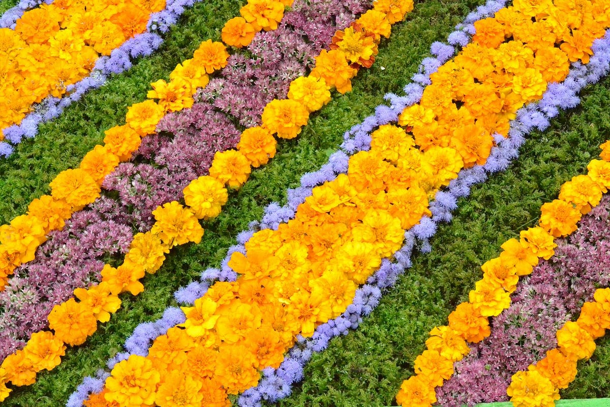 Mastering Design Patterns In Go Crafting Efficient And Scalable Code