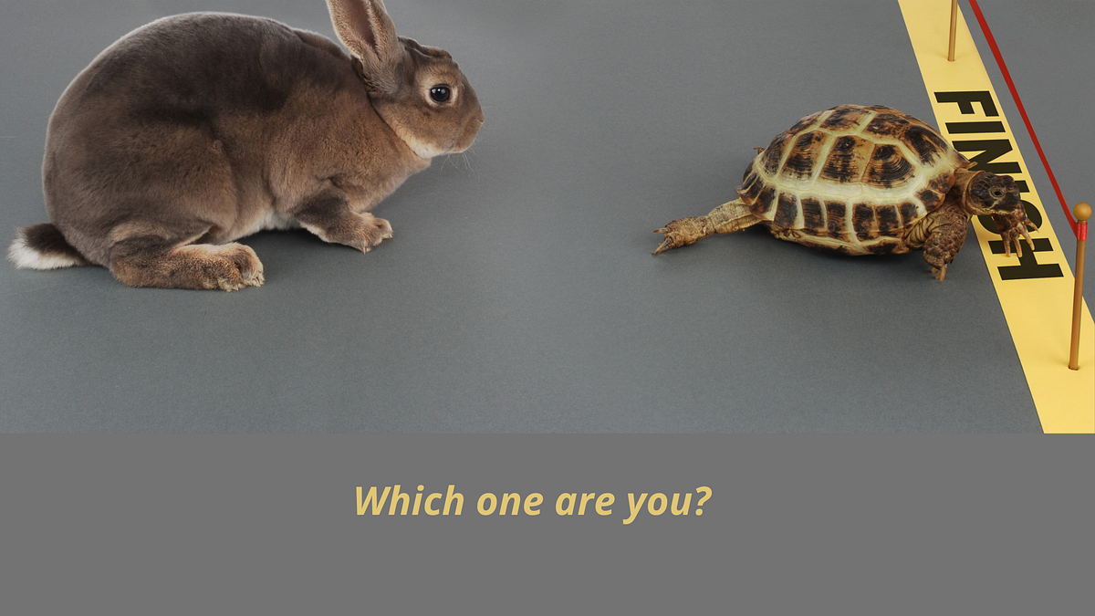 Tortoise And The Hare Race