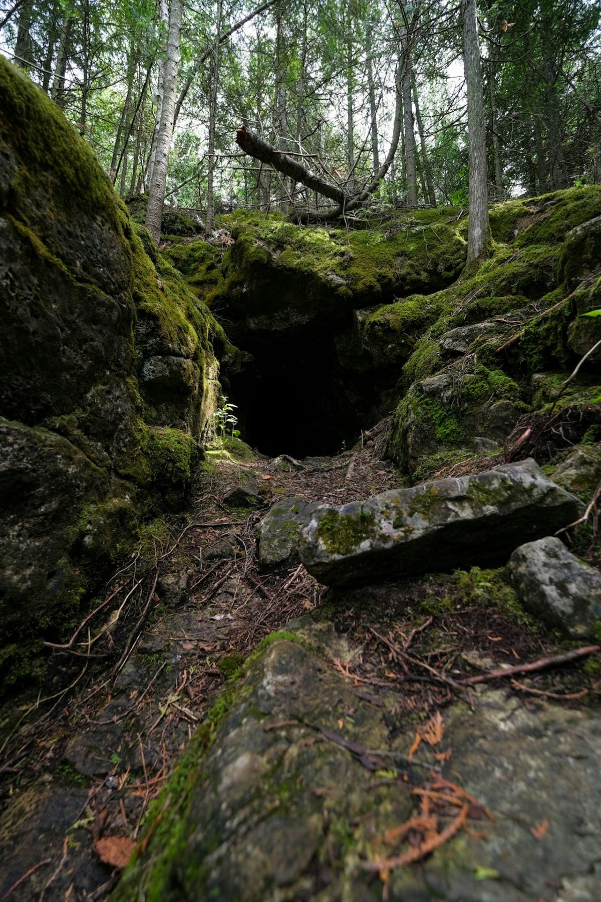 Dark Reunion. Drabble #338, random word — parents… | by Eaflevin ...