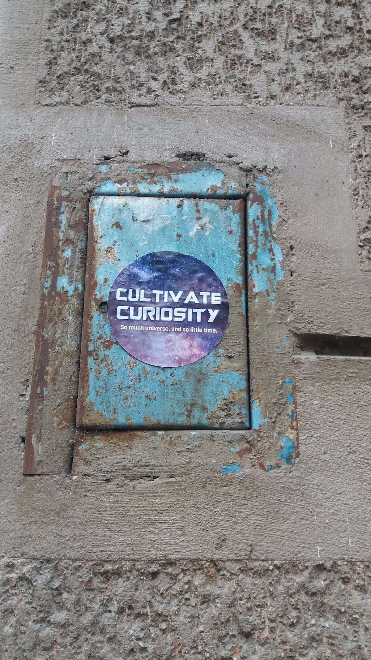 Curiosity Cures for Education. Photo by Marija Zaric on Unsplash | by ...