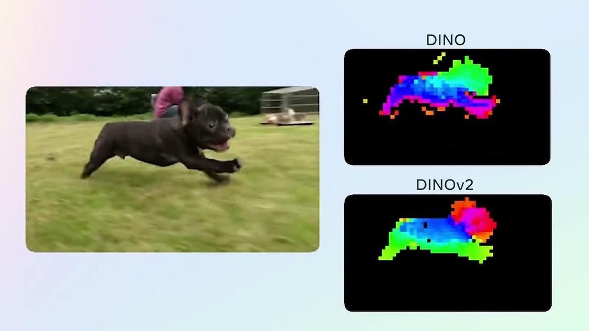 Building The Dino Model From Scratch With Pytorch Self Supervised Vision Transformer By Shubh