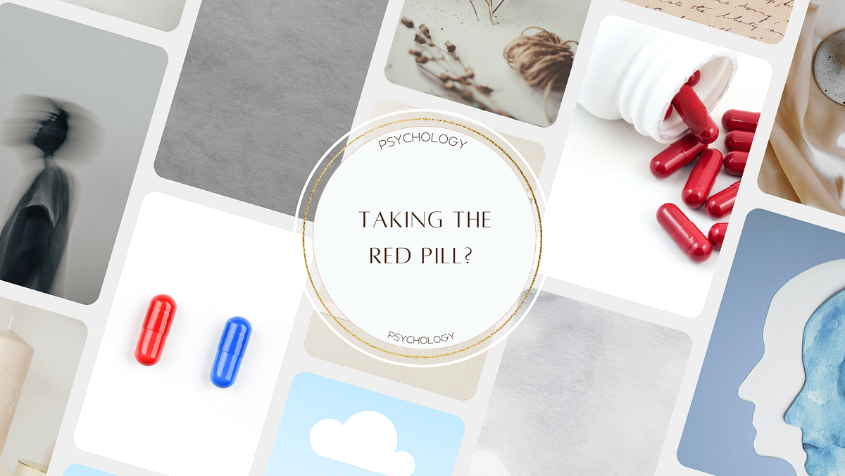 The Red Pill and Men’s Roles in Society | by Laila Regalado | Medium