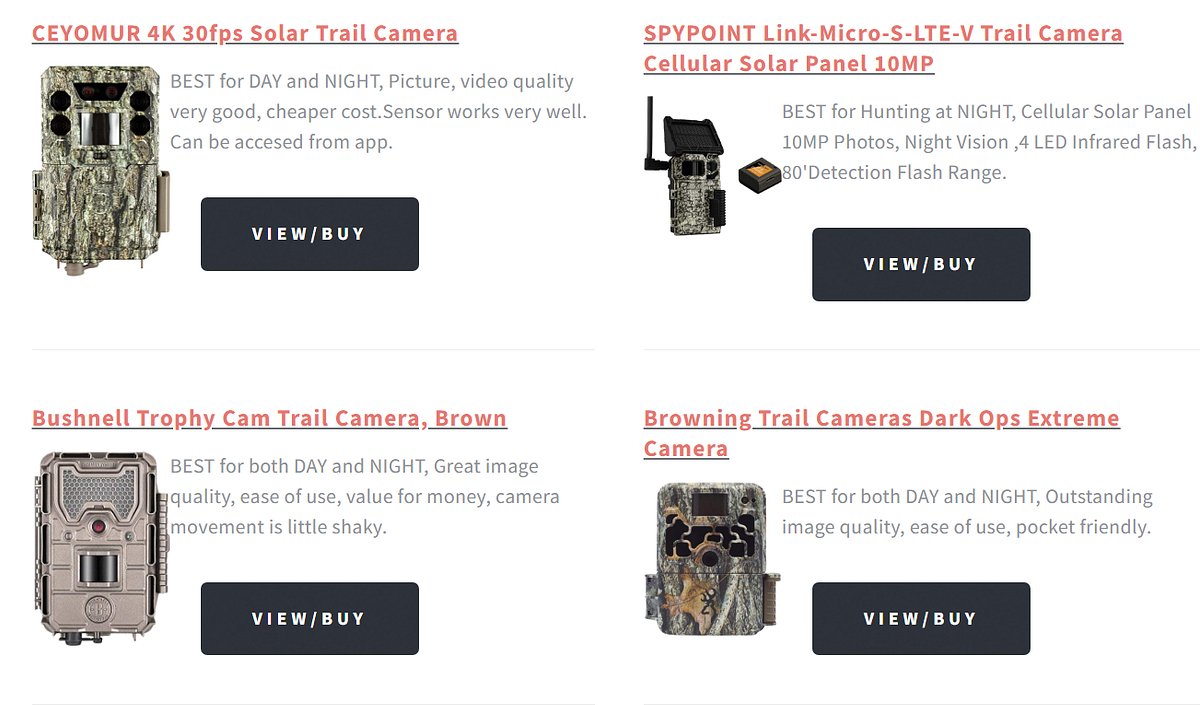 Best Trail Cameras of 2024: Capturing the Wilderness with Precision | by Roger | Medium