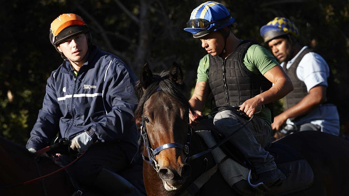 Horse Training NSW at Muskoka Farm | by Muskoka Farm | Medium