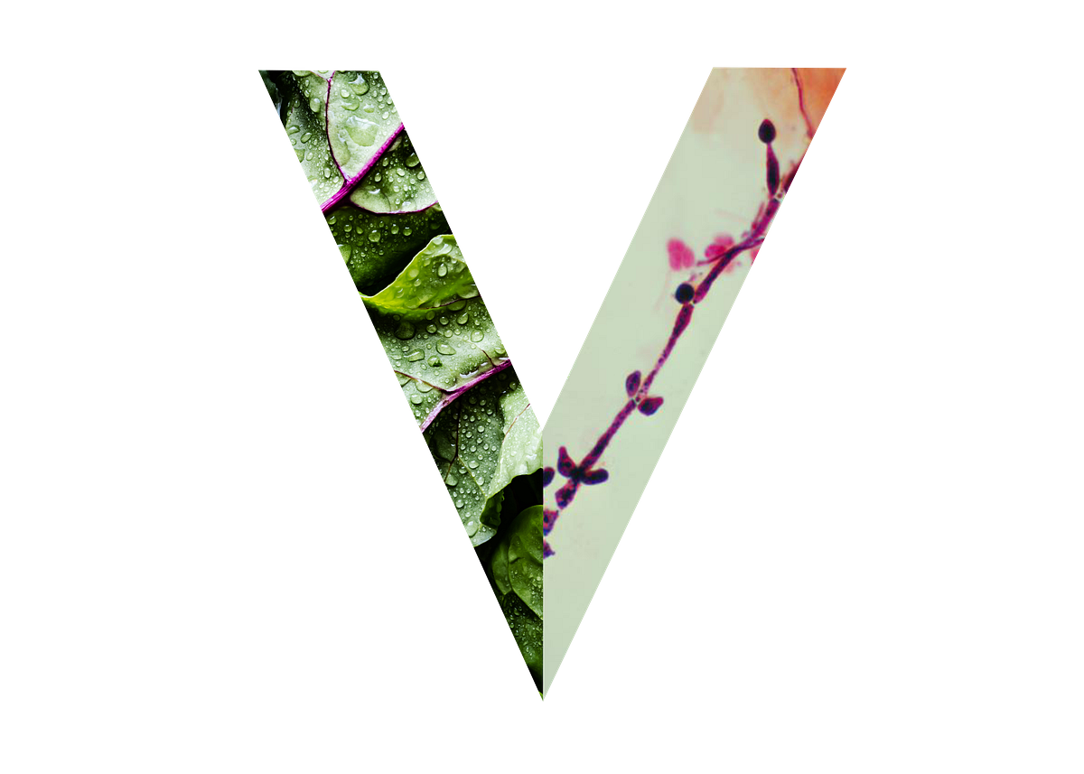 Introducing ‘The V Project’. I’m writing a book :) | by Caton Dubensky ...
