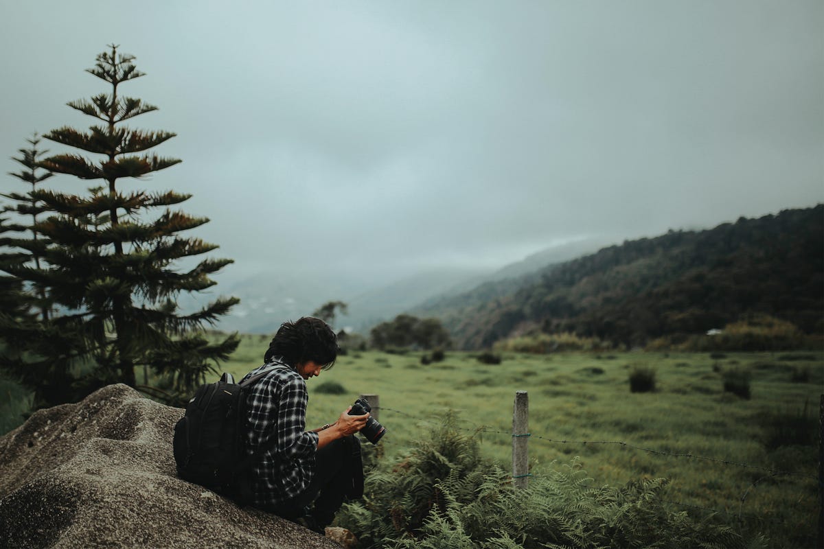 Success Stories and Barriers in Narrative Environmental Journalism | by Cody Wiesner | Medium
