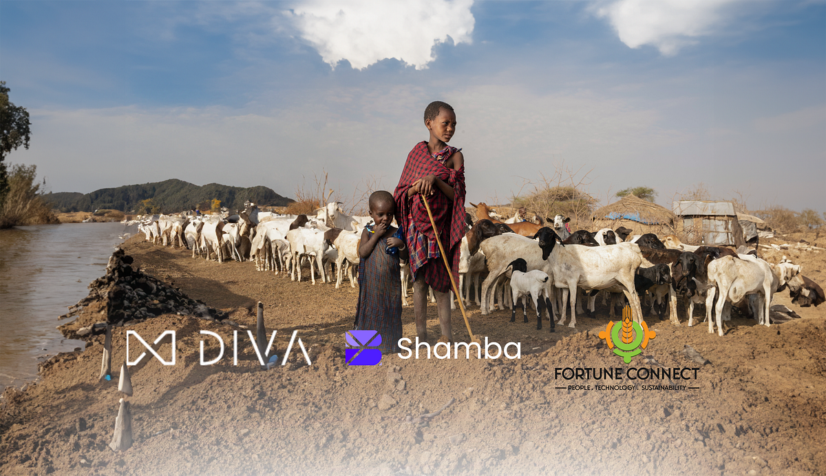 Empowering Conditional Donations on the Blockchain: Insights from the DIVA Donate Pilot | by ...