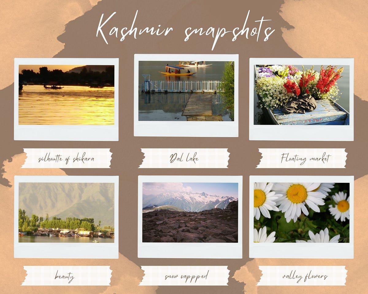 Kashmiri Khawa and the Writer’s Block | by Surekhaa || Stories From The ...