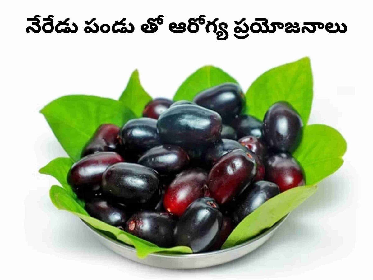 jamun fruit : | by Telugusitara | Medium