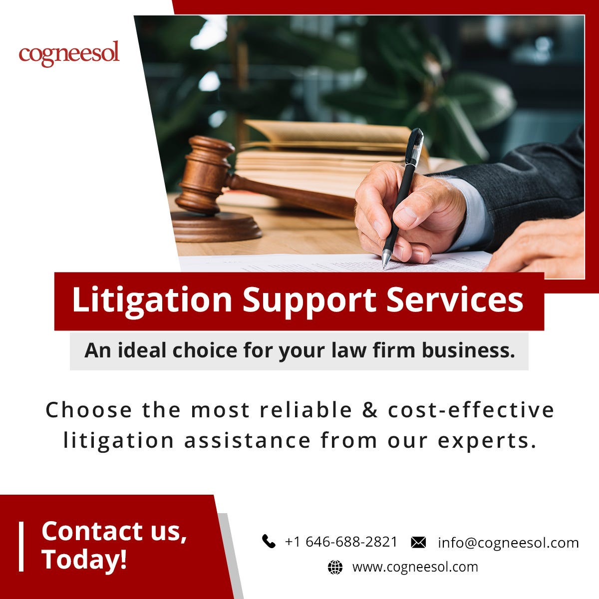 Litigation Support services - Belinda Carter - Medium