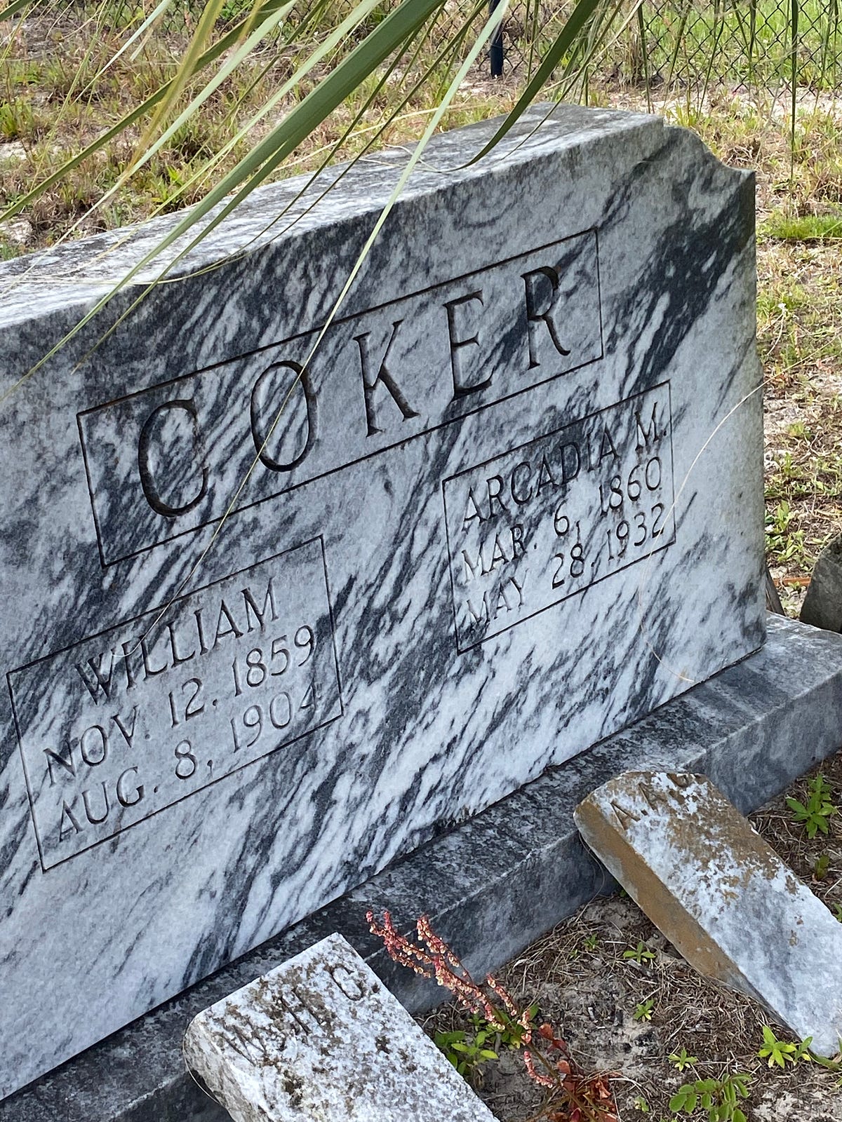 The Curse of the Coker Children in Arcadia, FL | Medium