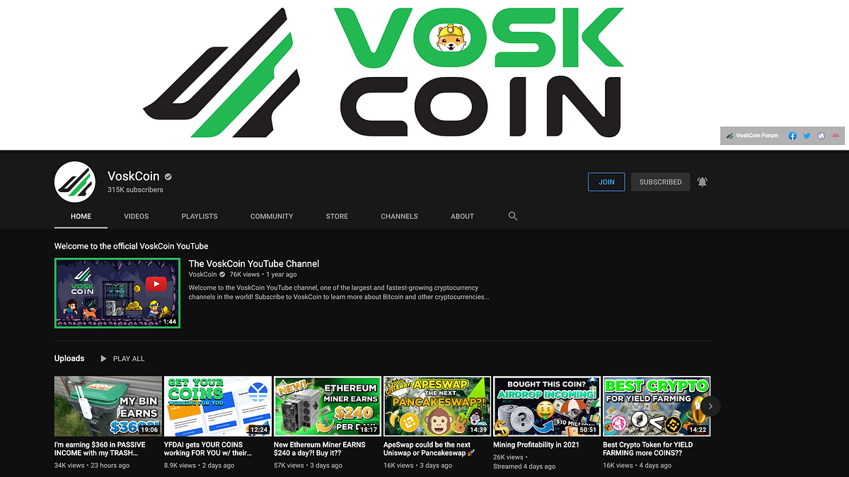 VoskCoin Metrics & Demographics. VoskCoin Crypto YouTube metrics… | by ...