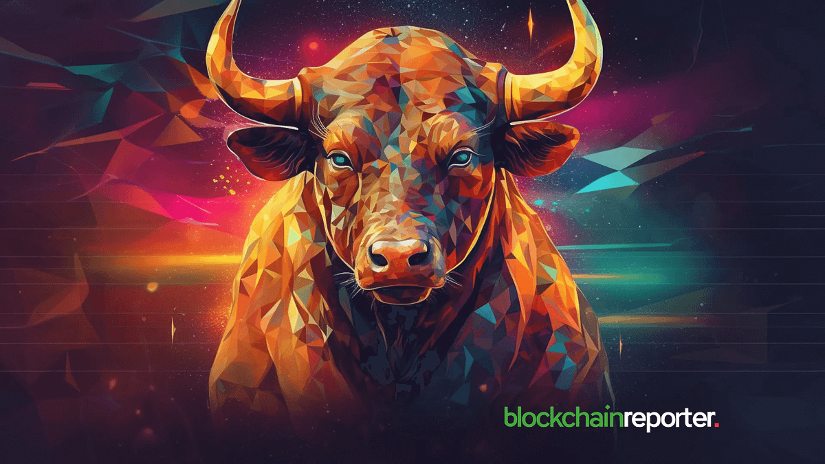 Webull Crypto Trading: A Comprehensive Guide | by Blockchain Reporter ...