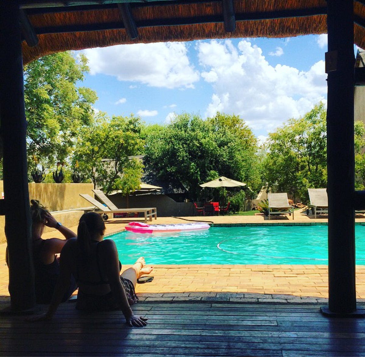 Ukutula Lion park🐱. Jeg har familie litt spredd rundt i… | by Rikke ...