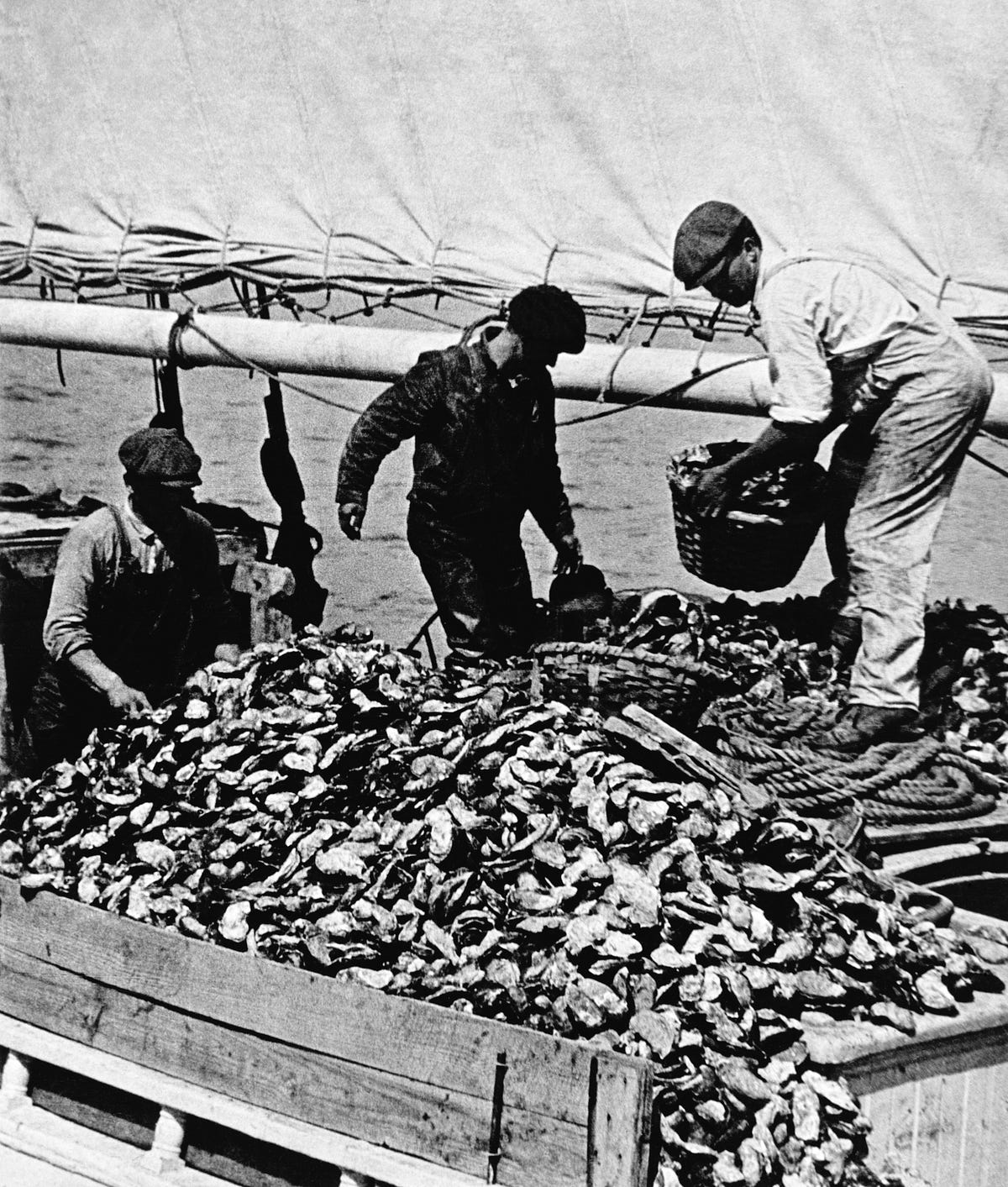 Chesapeake Bay Skipjacks: Engines Of Maryland’s Oyster Industry | by ...