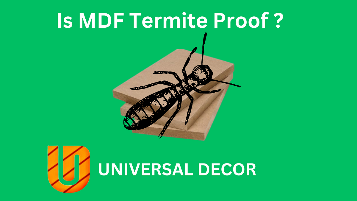 Is MDF Termite Proof. Termites are often seen as a pest, but… | by ...