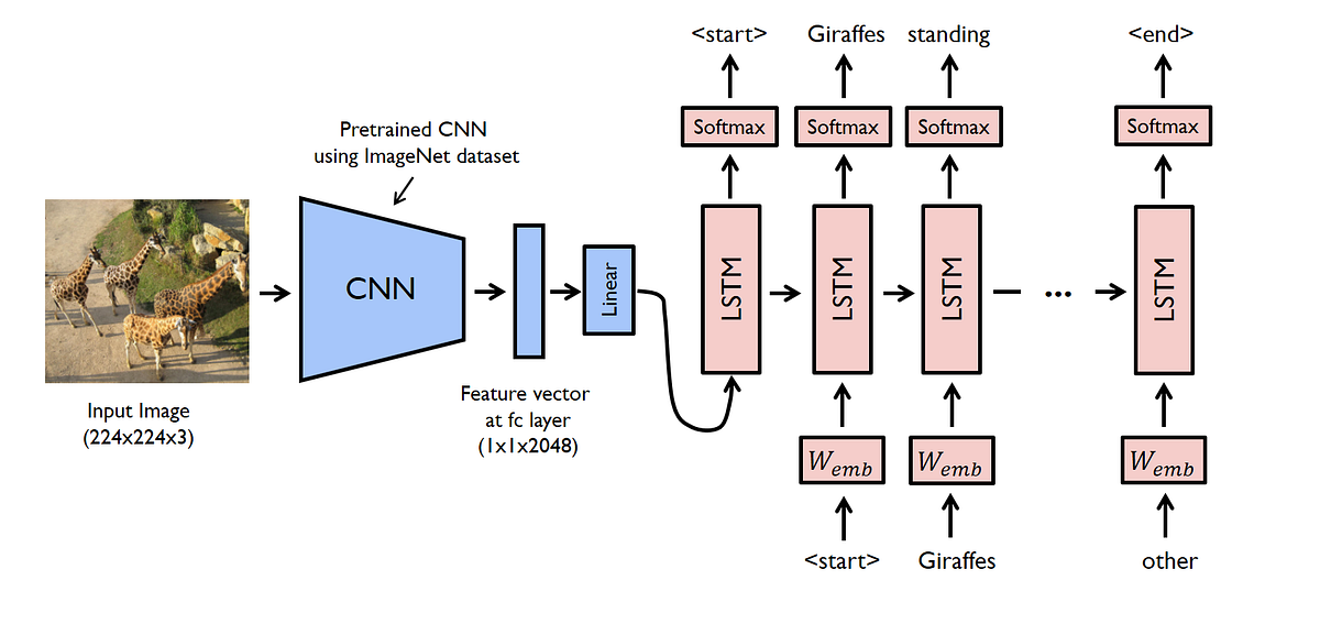 Generating Captions for Images using Neural Networks | by Akash Chauhan ...