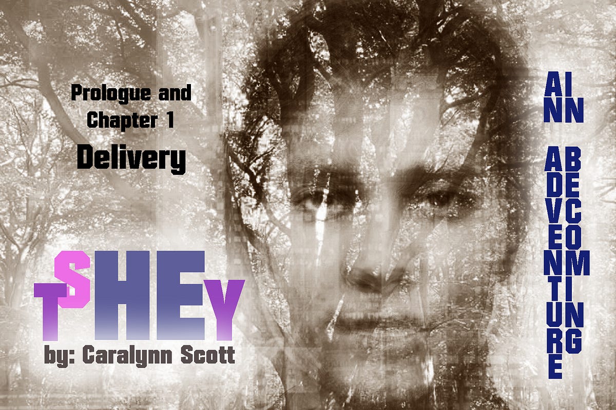 THEY — Prologue and Chapter 1 — Awakening | by Caralynn Scott | THEY.An.Adventure.in.Becoming ...