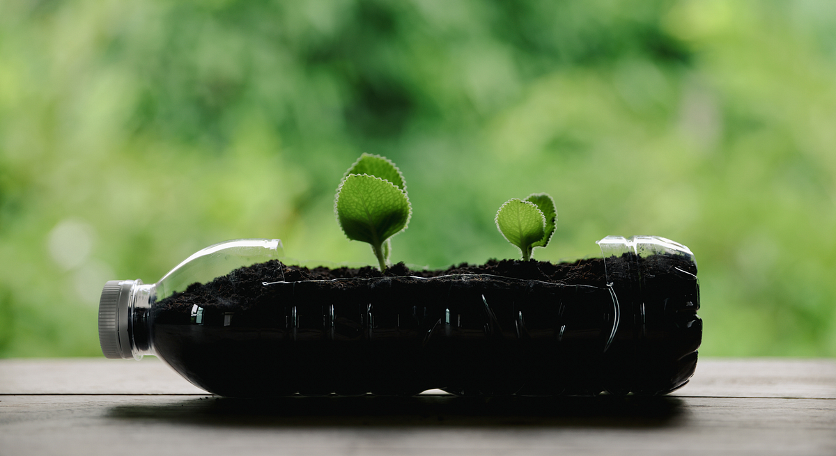 Creative Ways to Recycle Plastic Bottles | by Green Ecosystem | Jul ...