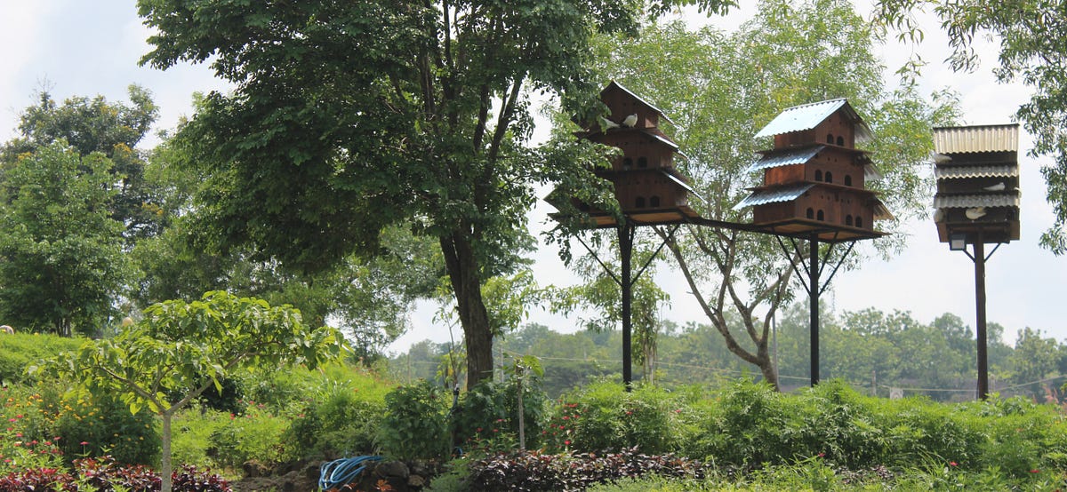 Awan di Bawah Tanah. Content warning: mention of death | by lala | Medium