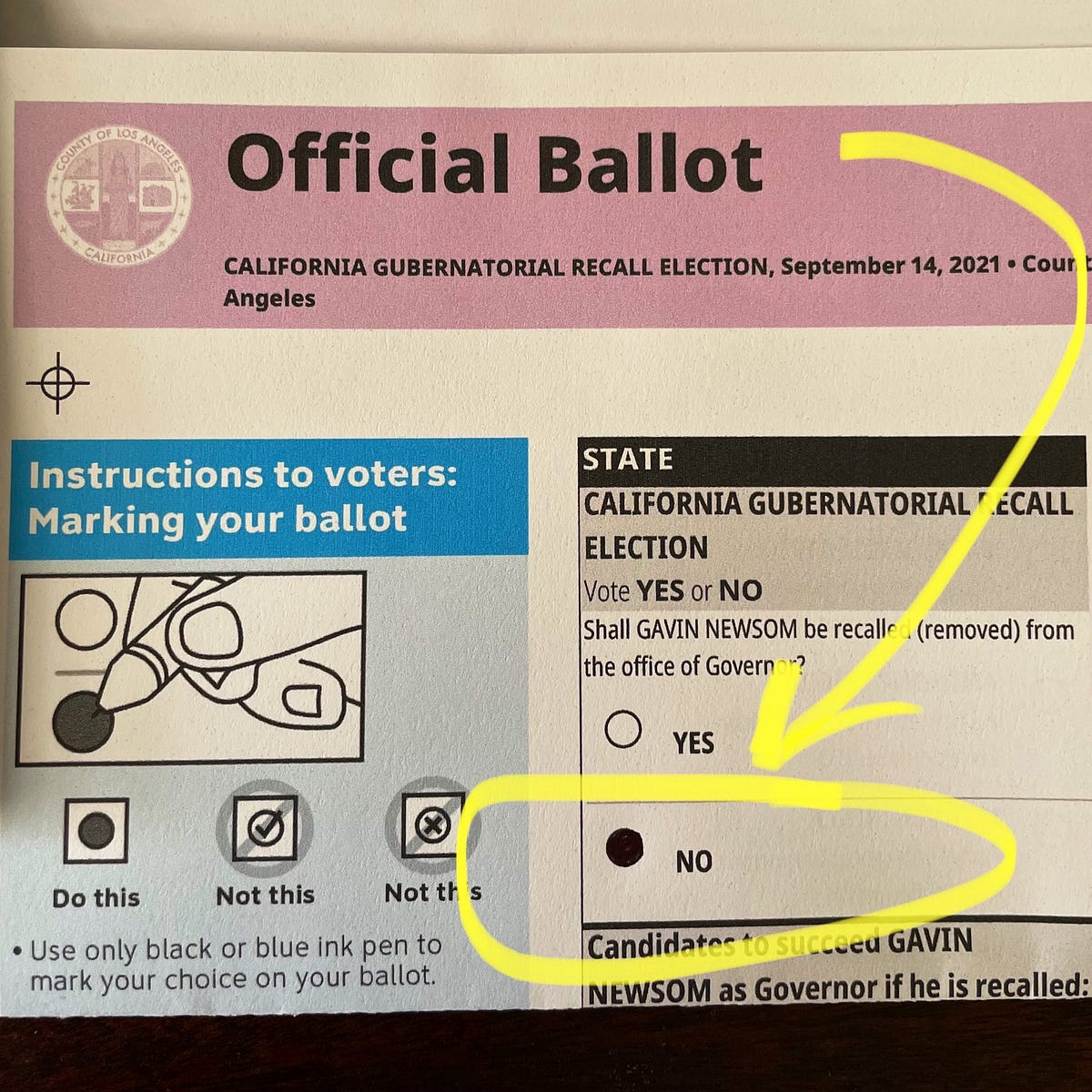 Leyla’s 2021 CA Gubernatorial Election Voter Guide | by Leyla Farah ...