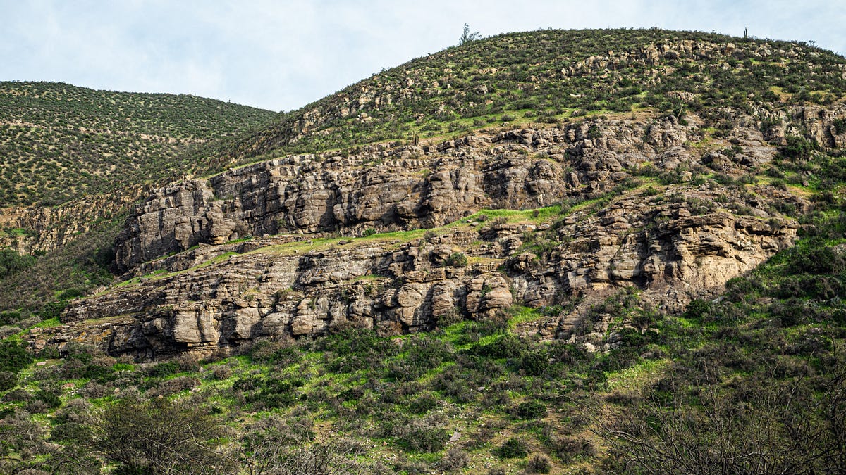 Parque La Giganta: The Resilient Giant of the Andes | Medium