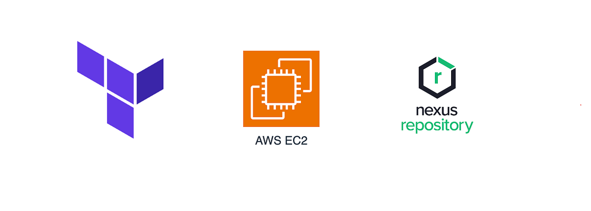 Automate installing Sonatype Nexus on AWS EC2 with Terraform | by Colin ...
