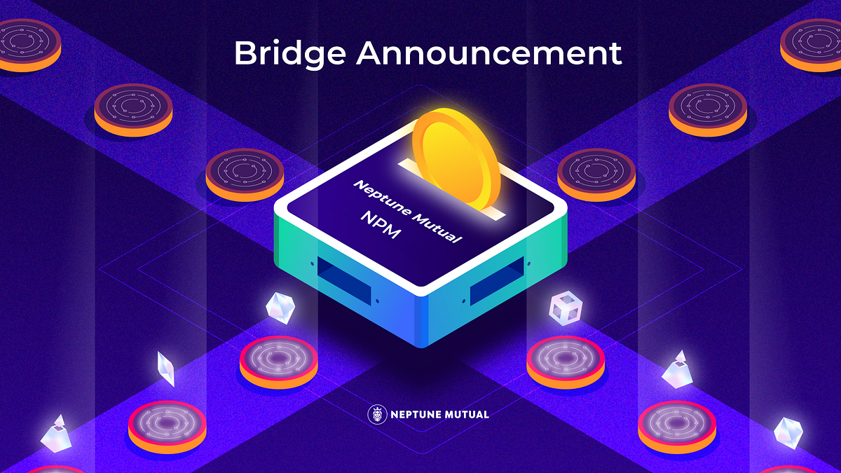 Announcement: Layerzero Bridge Feature Now Available for NPM Tokenholders! | by Neptune Mutual ...