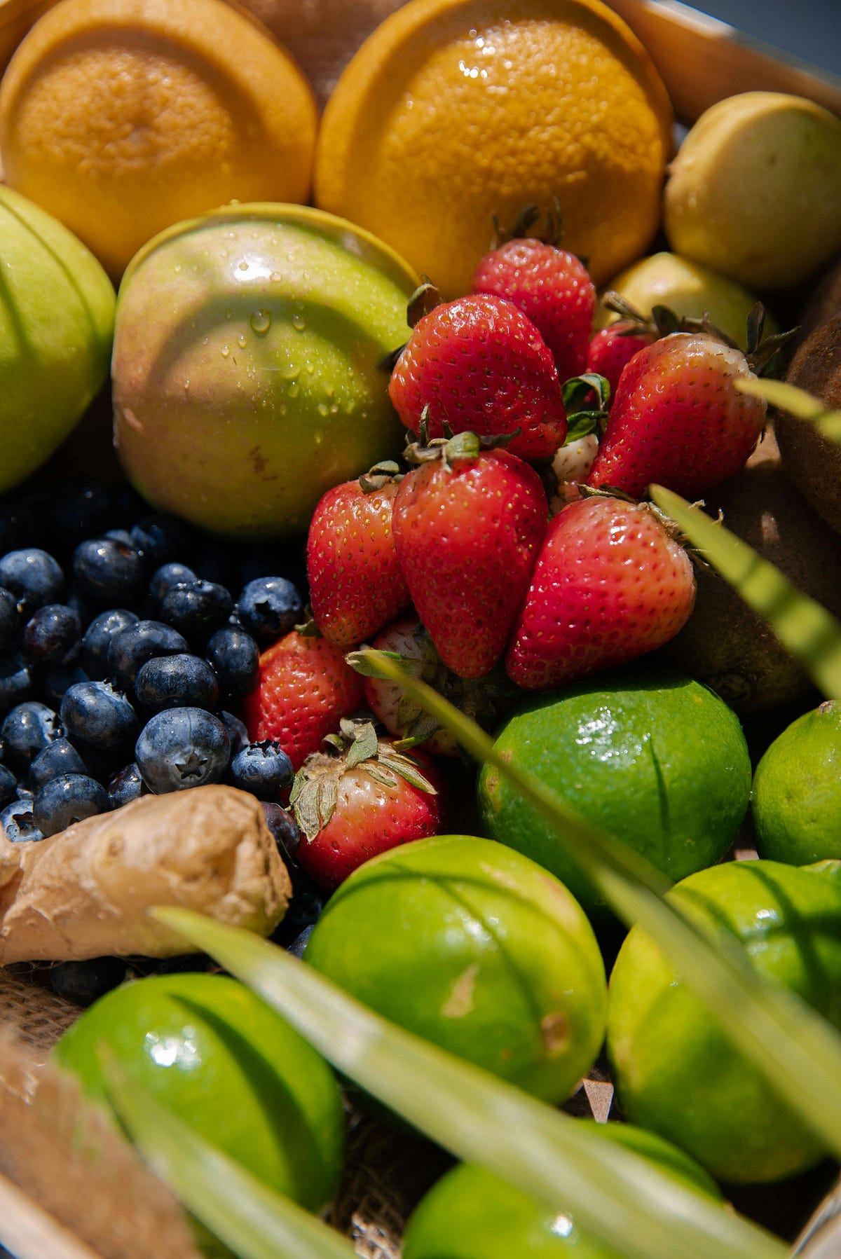 We Are Not Just Called To Bear Fruits - Koinonia - Medium