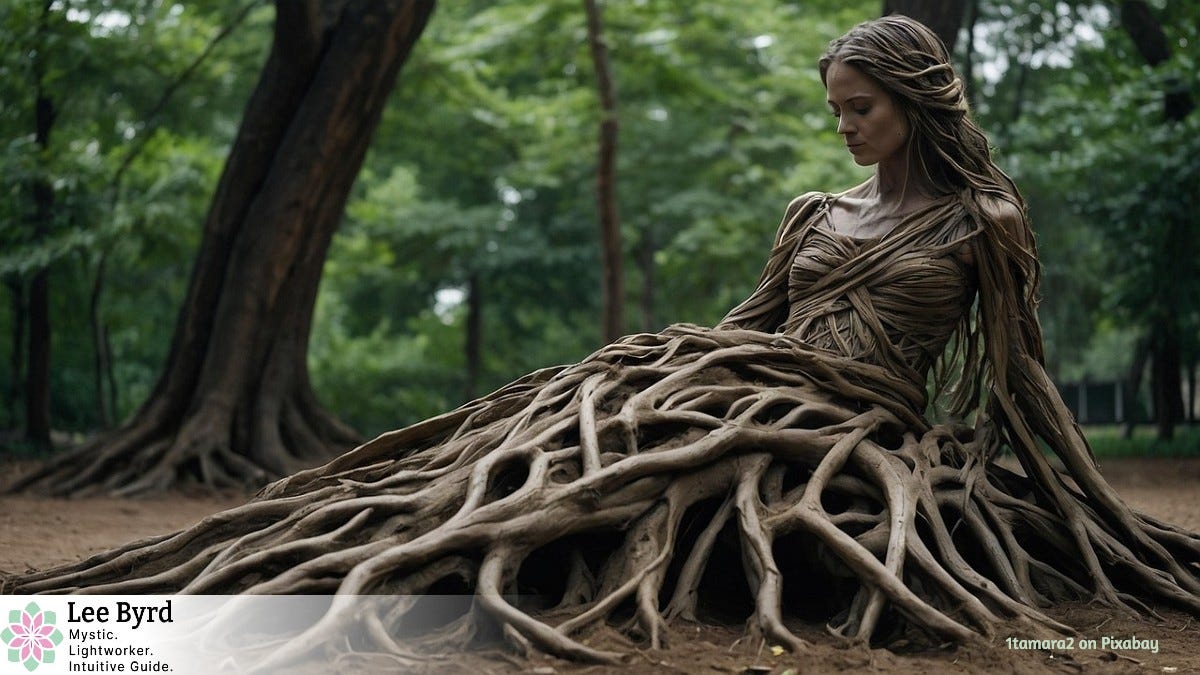 Rooted. Sovereign territory we cultivate within. | Ethereal Entries