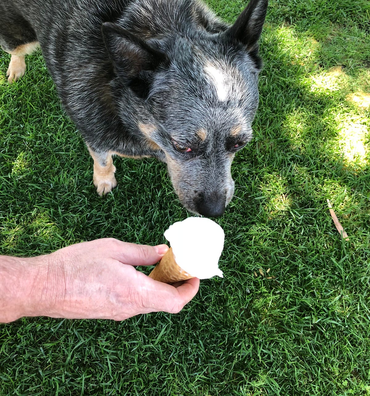 Ice Cream: Bucket List Item #20. November Six Word Photo Story… | by ...