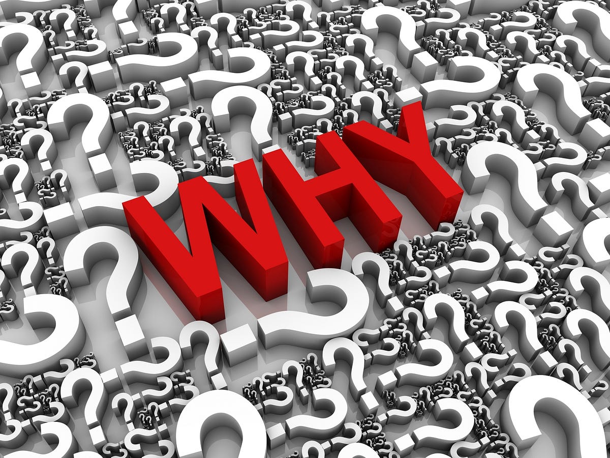 The “WHY” Factor. Does Your Brand Have One? | by Hanna Fitz | Medium