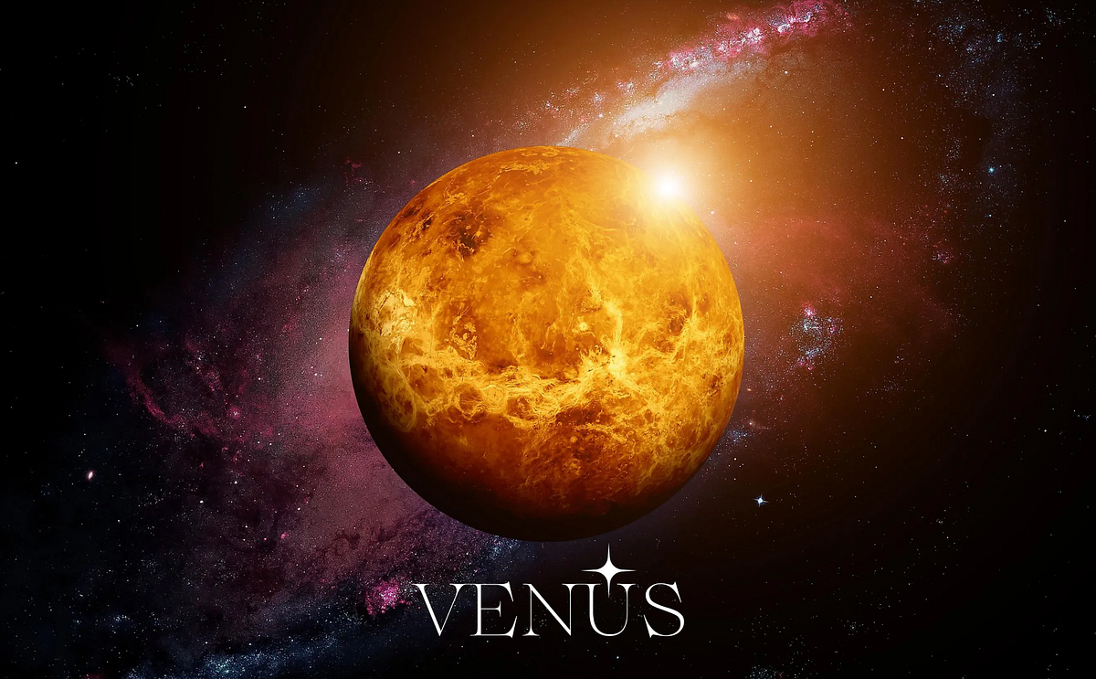 Introducing Venus: The Girl-Powered Metaverse 🌺 - Venus - Medium