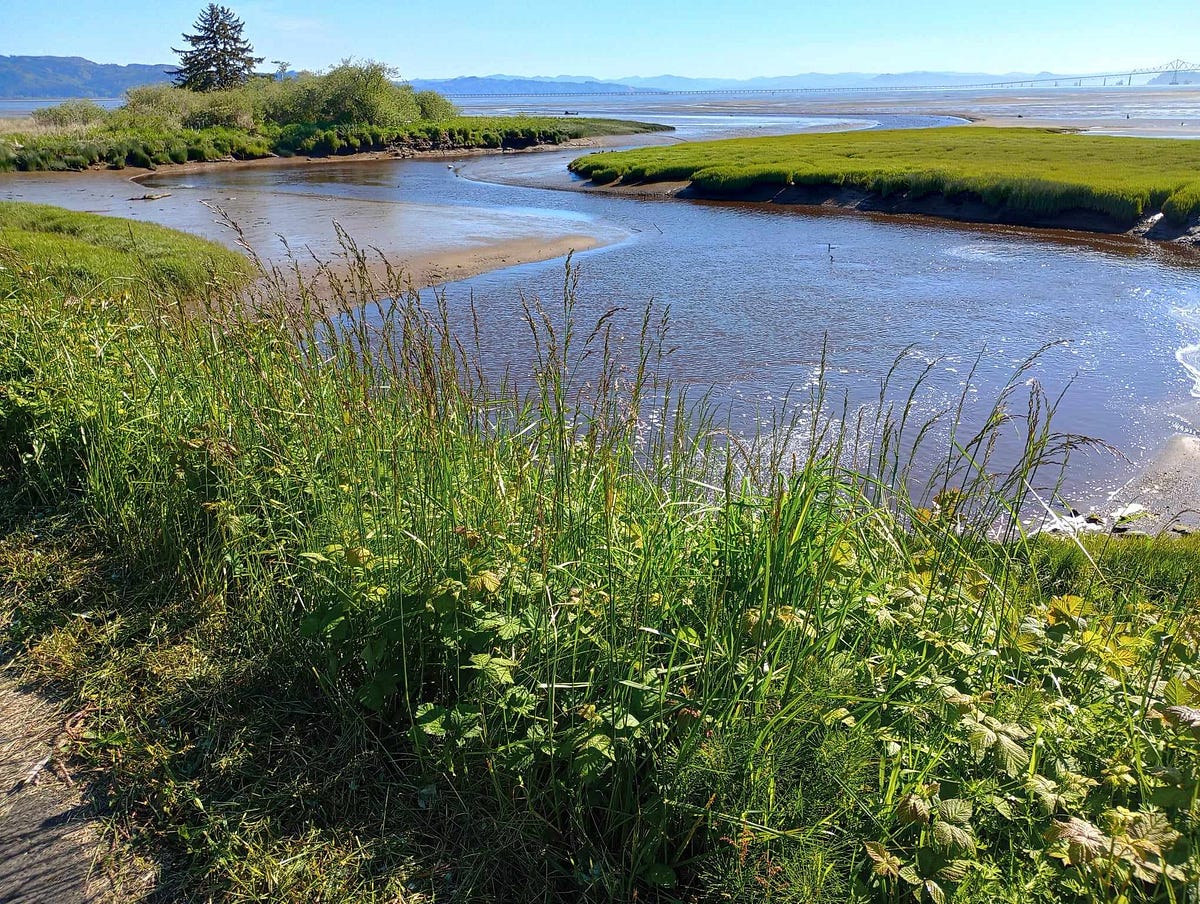 Cultivating a Wealth Mindset. In the vast landscape of our minds, the ...