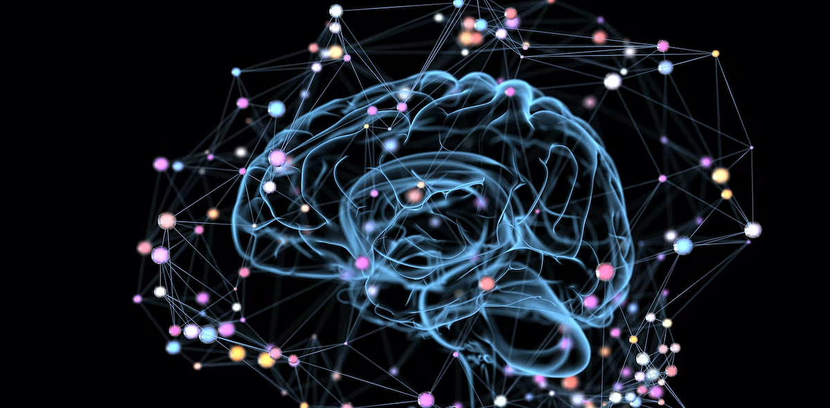 Making a Neural Network from Scratch!!! Part 1 | by Muhammad Zulqarnain ...