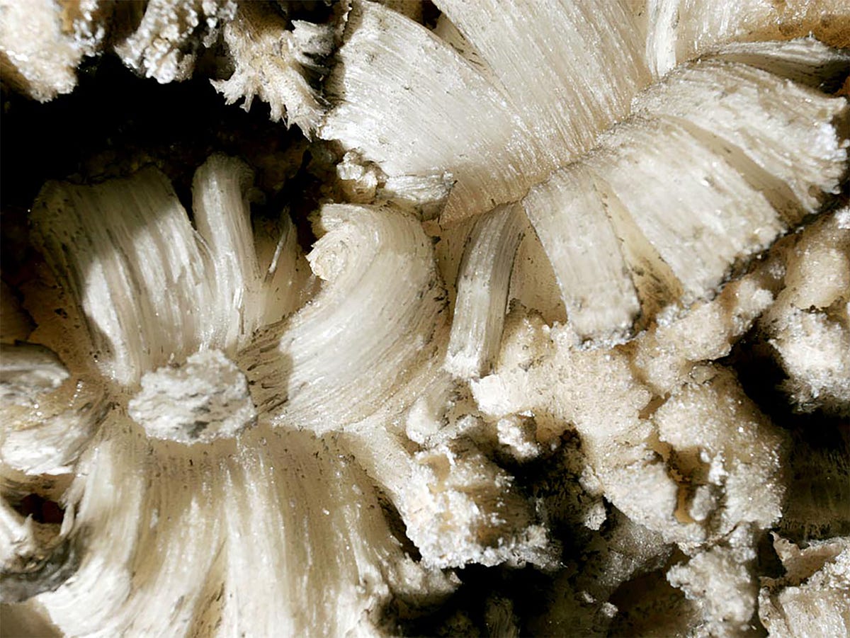 Gypsum materials. Gypsum and its natural modifications | by Nataliia ...