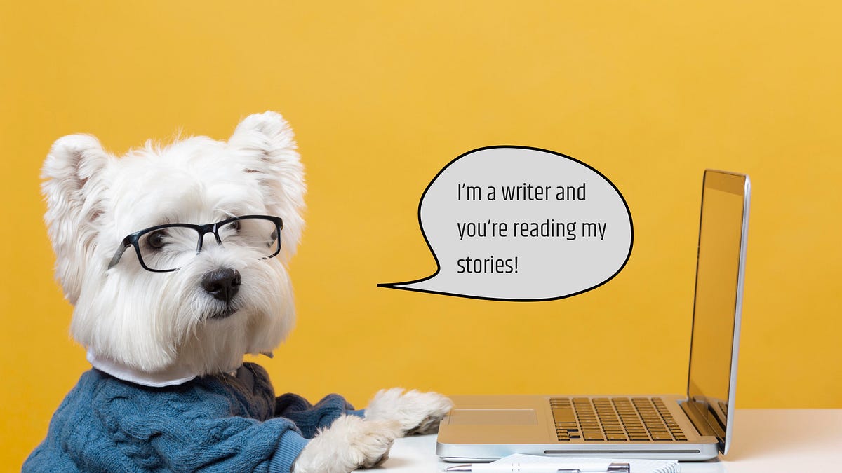 12 Paragraphs That Every Writer Should Read To Help Them Build a ...