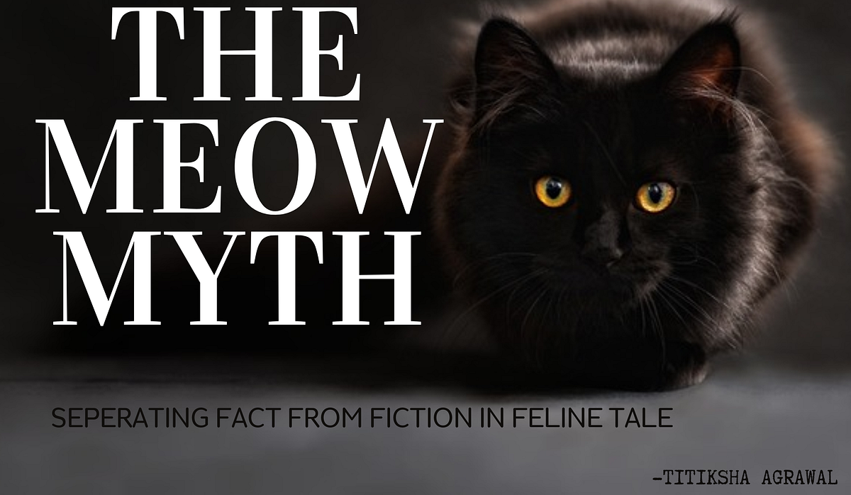 The Meow Myth: Separating Fact from Fiction in Feline Tale | by ...