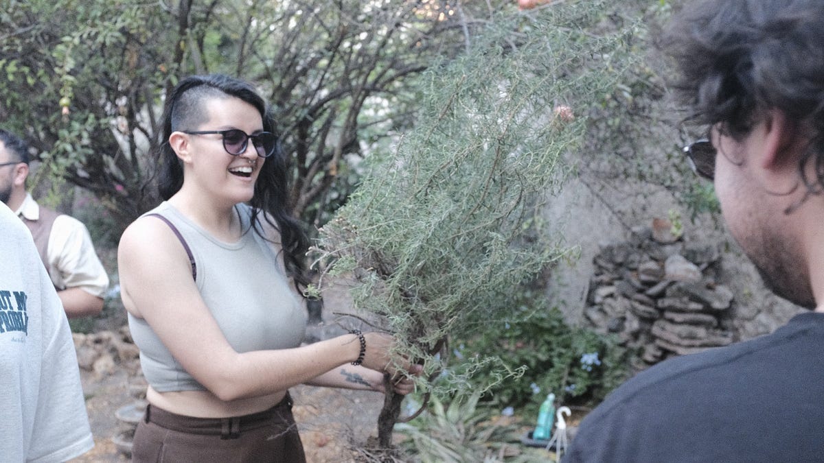 Mi Jardín en el Desierto 🌵. Yo deseaba un jardín. Carlos, se sentía… | by Caro Romo | Jun, 2025 ...