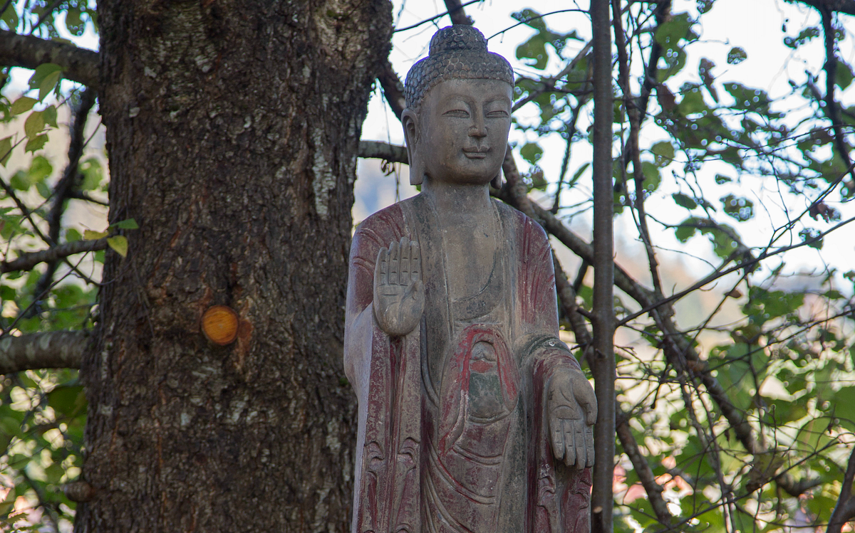 Ango, A Zen Training 安居 — Part 1. What is this blog about? | by Nicole ...