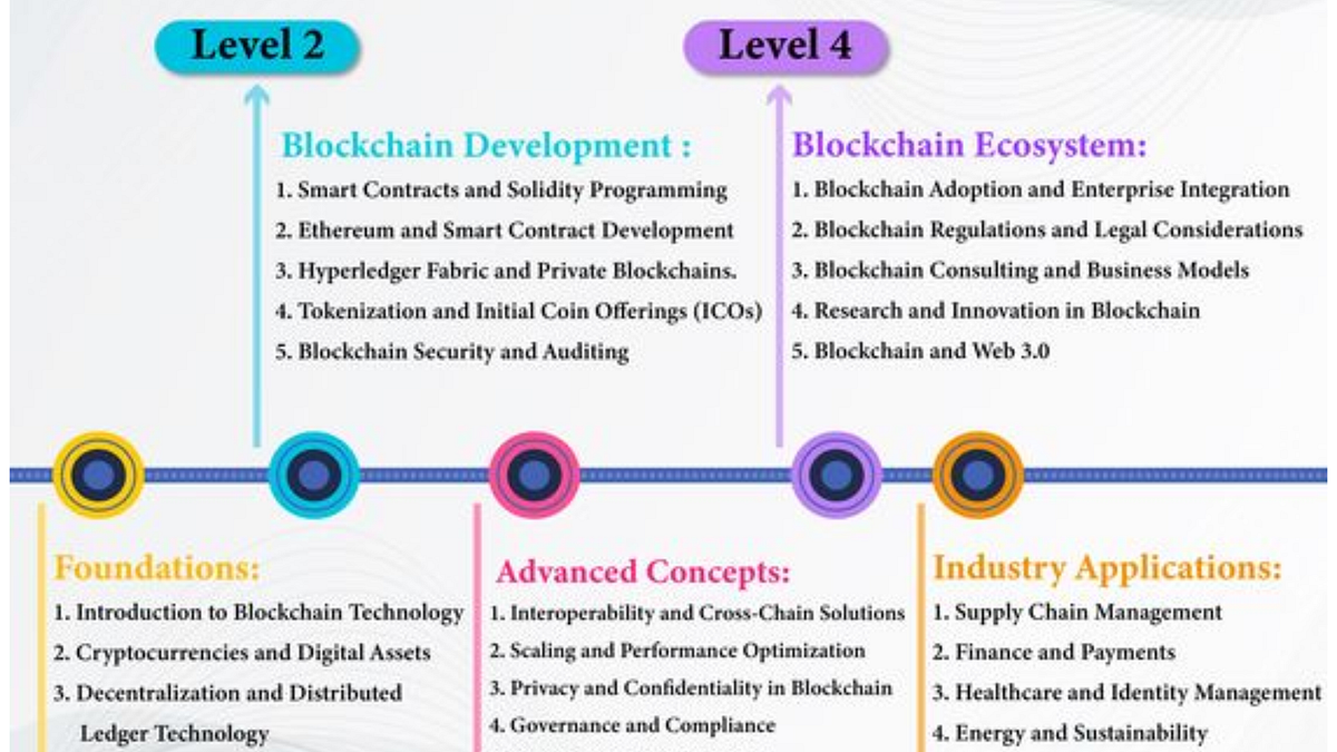 Blockchain Development Roadmap: A Comprehensive Guide | by Amit thakur | Jul, 2024 | Medium