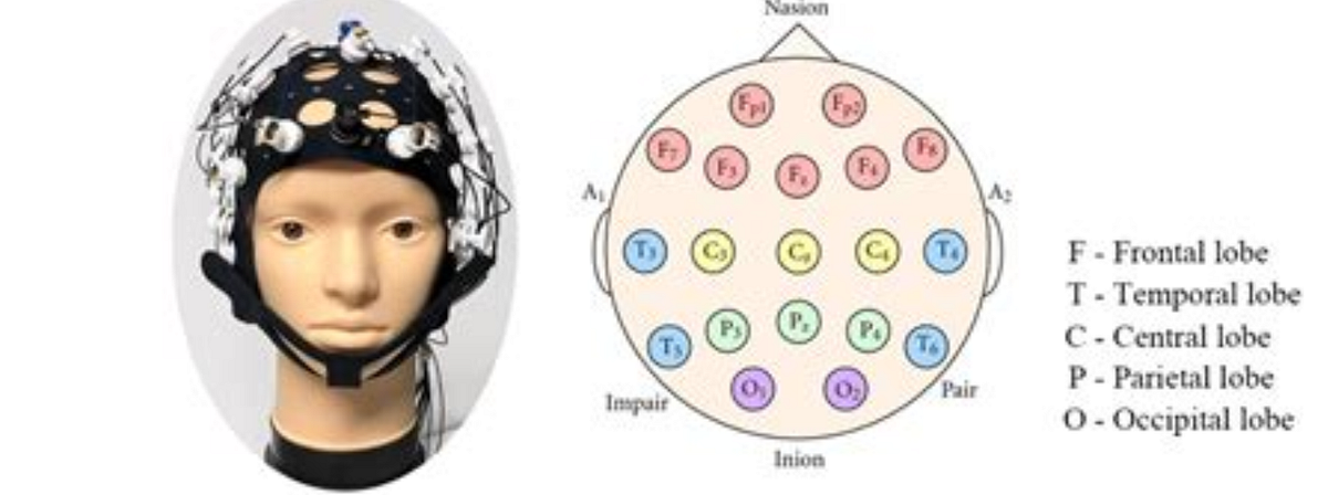 EEG to analyze disorders using Bipolar Montage | by sambsv | Medium