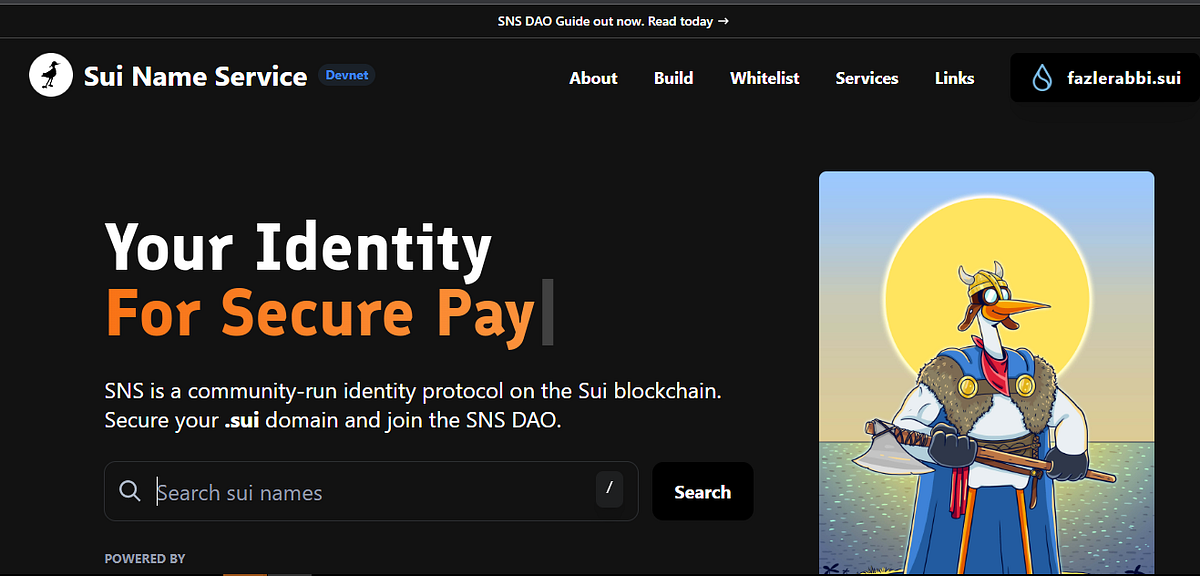 Sui Name Service ($SNS). Sui Name Service | by Fazle Rabbi | Medium