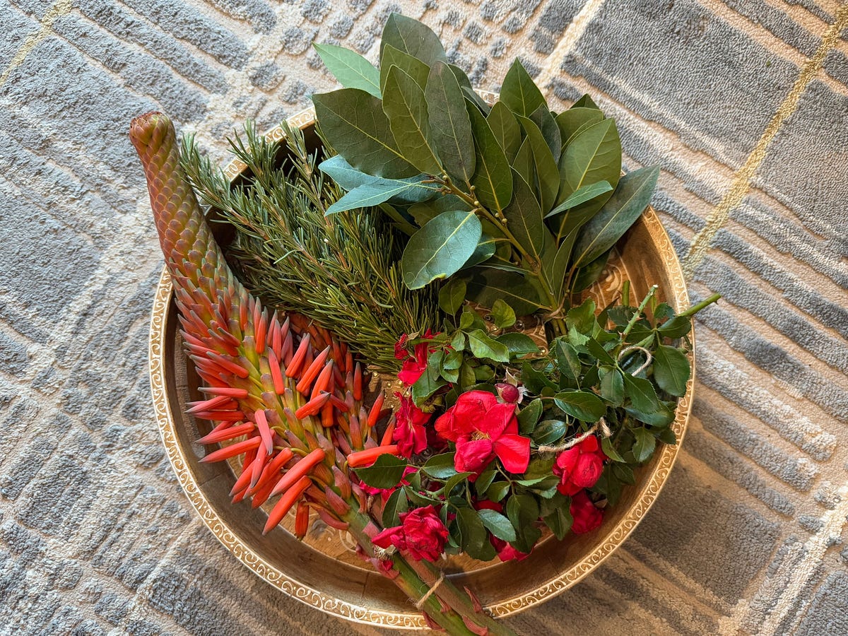 Botanical Fragrance. That our body finds therapeutic | by Dr. Seema ...