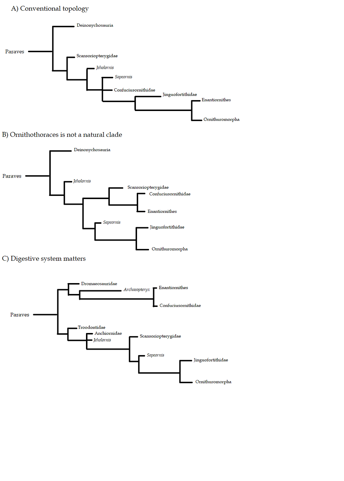 Ornithothoraces deconstruction. Remember the outgroups I mentioned ...