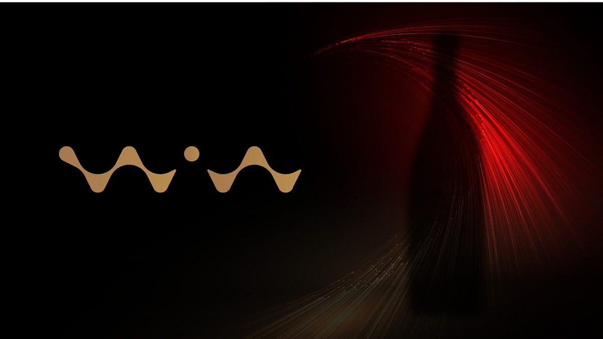 Introducing $WiVA: The Digital Wine Community Token | by Thomas ...