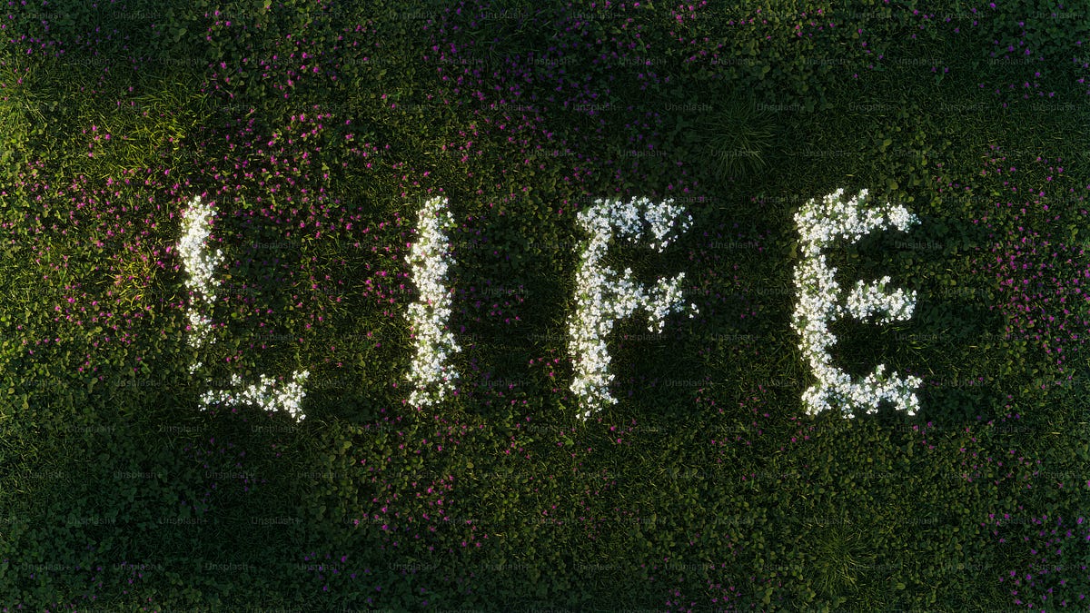 Life: A Beautiful Mess Worth Waking Up For | by Sri | Jul, 2025 | Medium