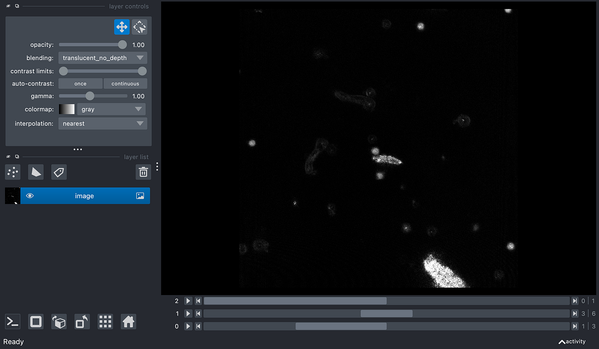 Introduction to napari for (Bio)image Analysis | by MicroBioscopicData (by Alexandros ...