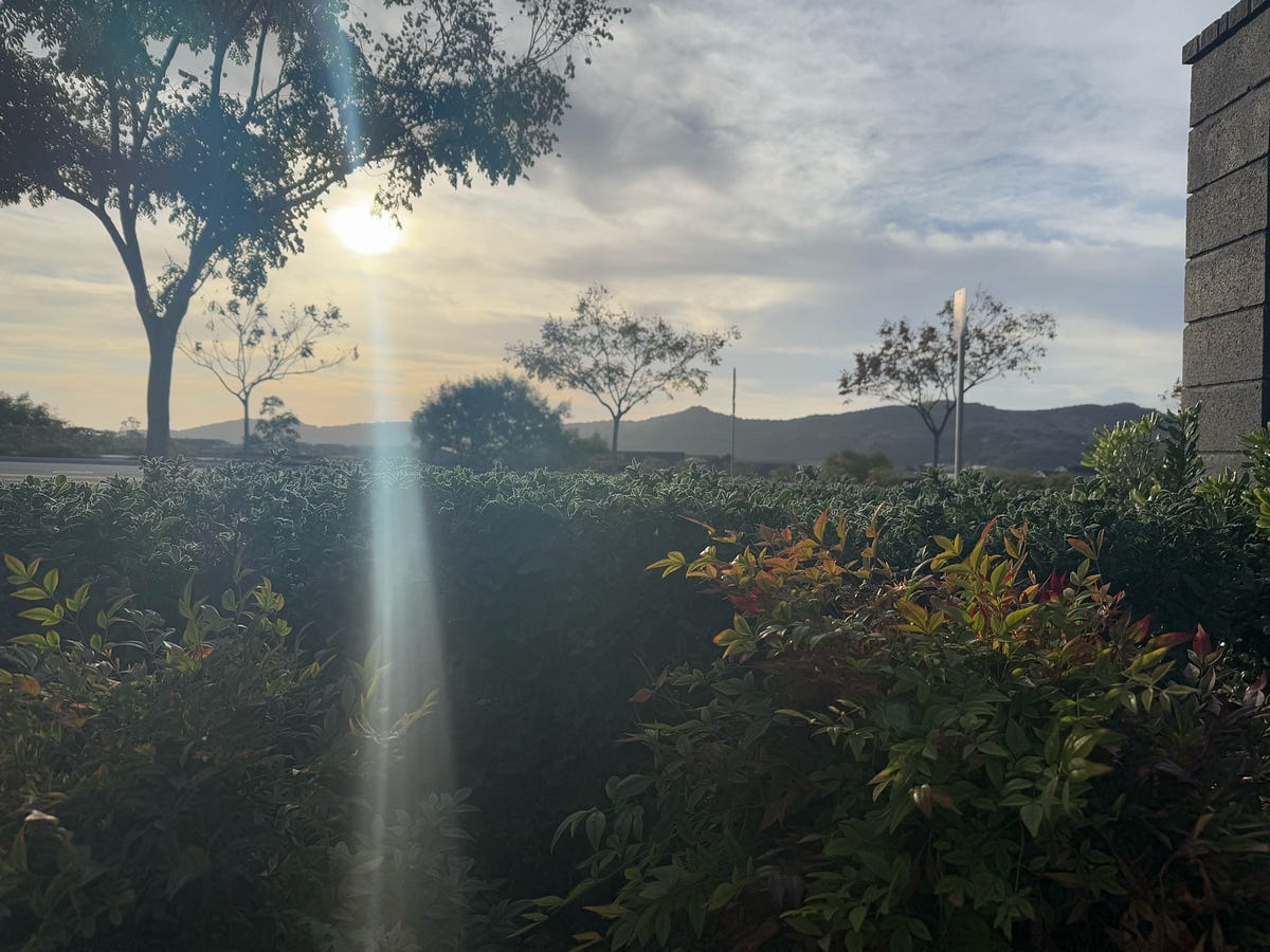 Walk Therapy. To dispel winter gloom | by Dr. Seema Patel (PhD) | Never ...